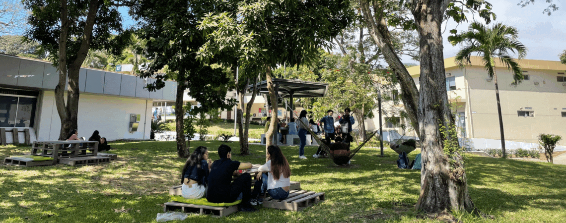 Undergraduate Programs | FICT